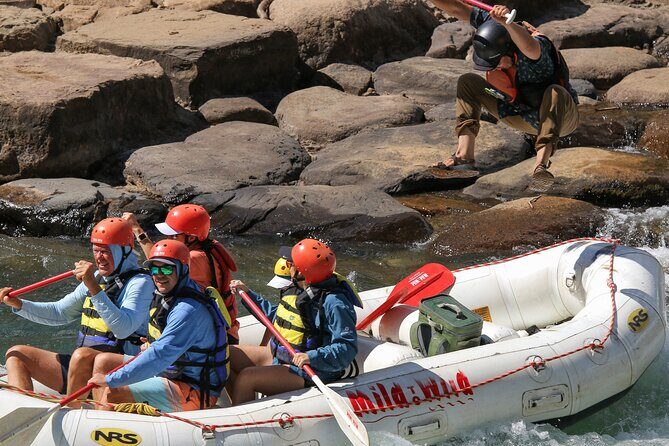 Durango 1/4 Day Rafting Trip - Lower Animas River - An Introduction to the Durango Rafting Experience