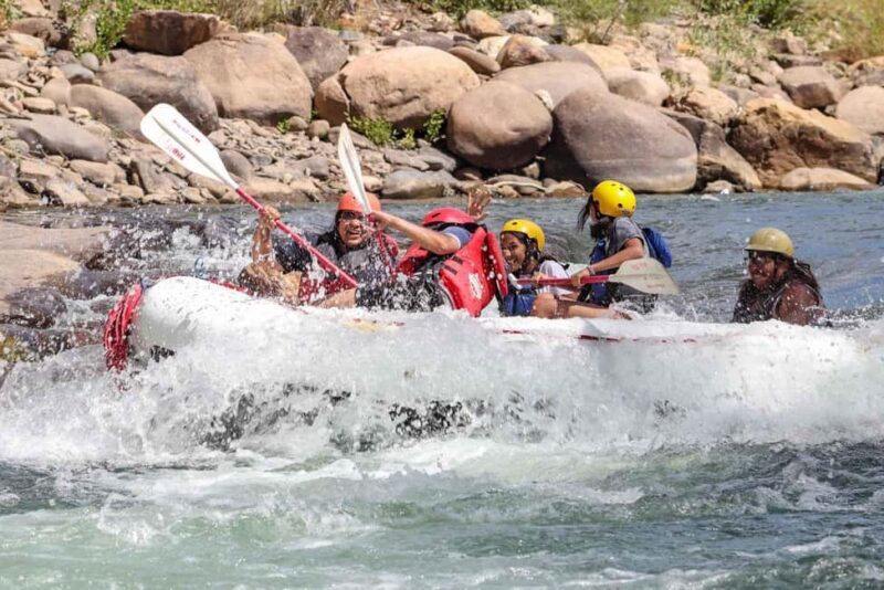 Durango 3/4 Day Rafting Trip with Lunch - Lower Animas River - Introduction: A Refreshing Spin on Durangos Outdoors
