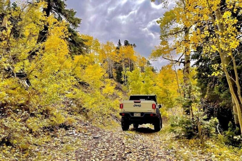 Durango: Custom Safari Jeep Trail Tour 5 Hours - Key Points