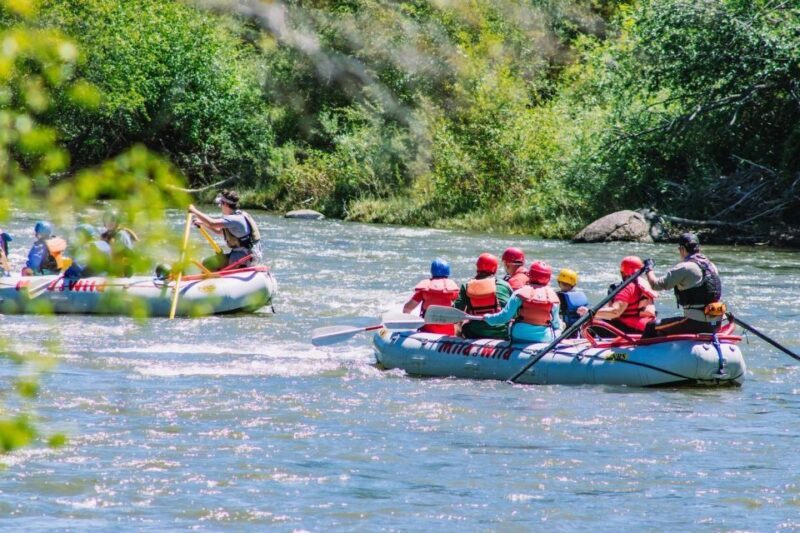 Durango Half Day Rafting Trip - Lower Animas River - Seasonality and Water Conditions