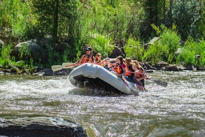Durango Half Day Rafting Trip - Lower Animas River - The Experience, Seen Through Reviews