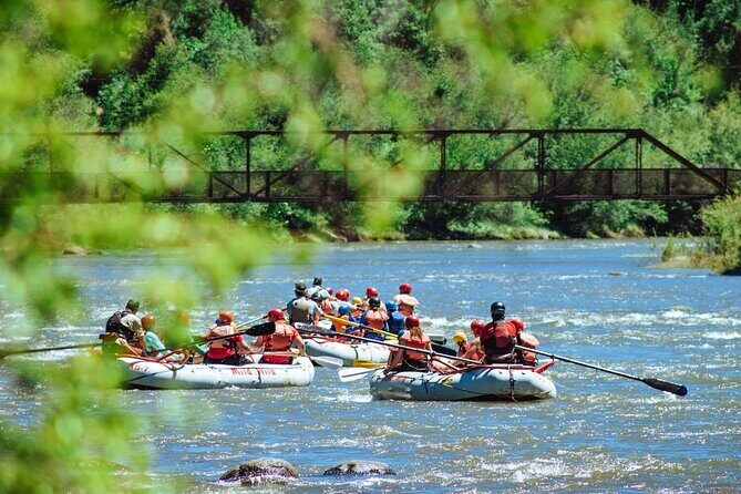 Durango Half Day Rafting Trip - Lower Animas River - Who Should Consider This Tour?