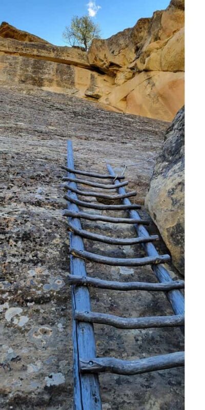 Durango ~ Mesa Verde Express Tour & Cliff Palace Ticket - Who Should Consider This Tour?