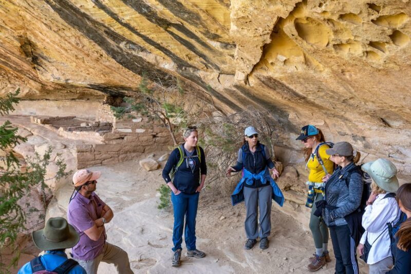Durango Mesa Verde Express Tour With Tickets to Cliff Palace - A Practical Look at the Durango Mesa Verde Express Tour With Tickets to Cliff Palace