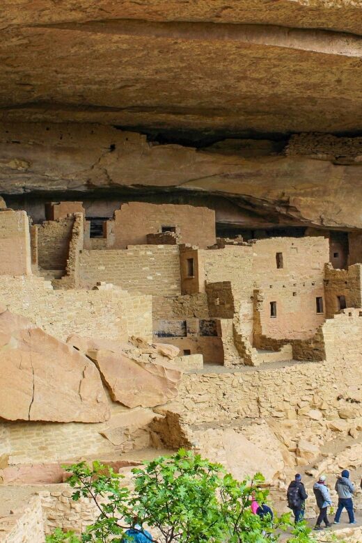 Durango: Mesa Verde National Park, Cliff Palace Tour w/Lunch - A Detailed Look at the Tour Experience
