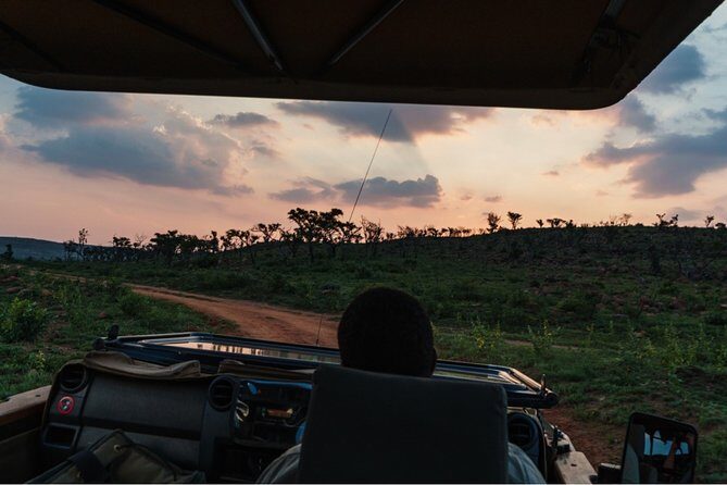 Durban: Big 5 Luxury Safari at an Award Winning Game Reserve  Zeiss Binoculars - Introduction: A Wild Day Near Durban