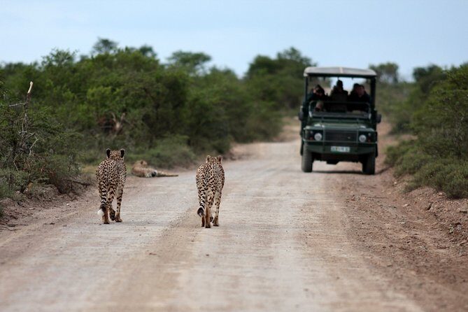 Durban: Big 5 Luxury Safari at an Award Winning Game Reserve  Zeiss Binoculars - The Value of This Safari Tour
