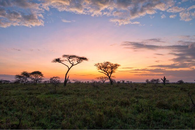Durban: Big 5 Luxury Safari at an Award Winning Game Reserve  Zeiss Binoculars - Final Thoughts: Why This Safari Matters
