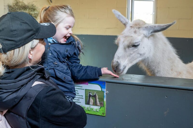 Durham: Adventure Valley Farm Park Entry Ticket - Who Is It Best For?