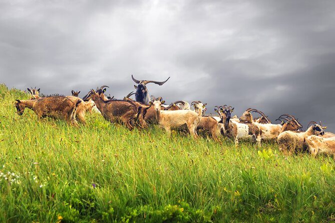 Durmitor National Park hiking tour - easy to moderate - The Sum Up