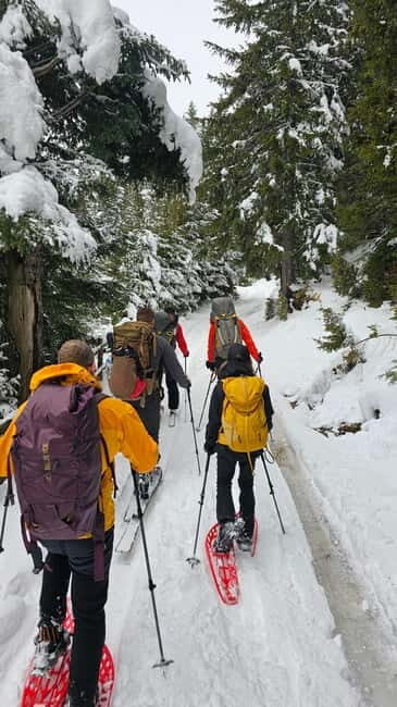 Durmitor National Park: Snowshoeing Hike to Base Camp - A Practical Guide to the Durmitor Snowshoeing Experience