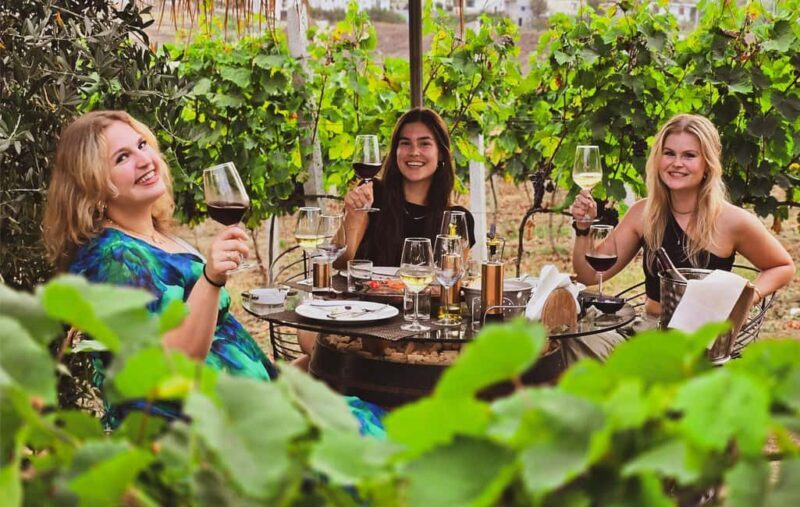 Durres Countryside Vineyards Wine & Food Tasting Tour - Key Points