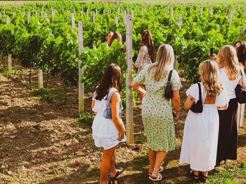 Durres Countryside Vineyards Wine & Food Tasting Tour - A Deep Dive into the Durres Countryside Vineyards Tour