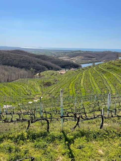 Durres & Wine Tasting Tour - Practical Tips for Travelers