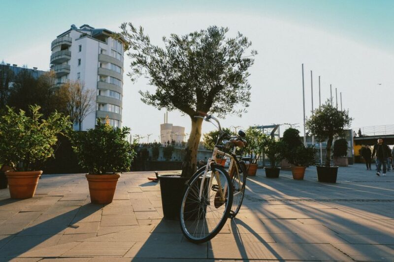 Dusseldorf: Express Walk with a Local in 60 minutes - Key Points