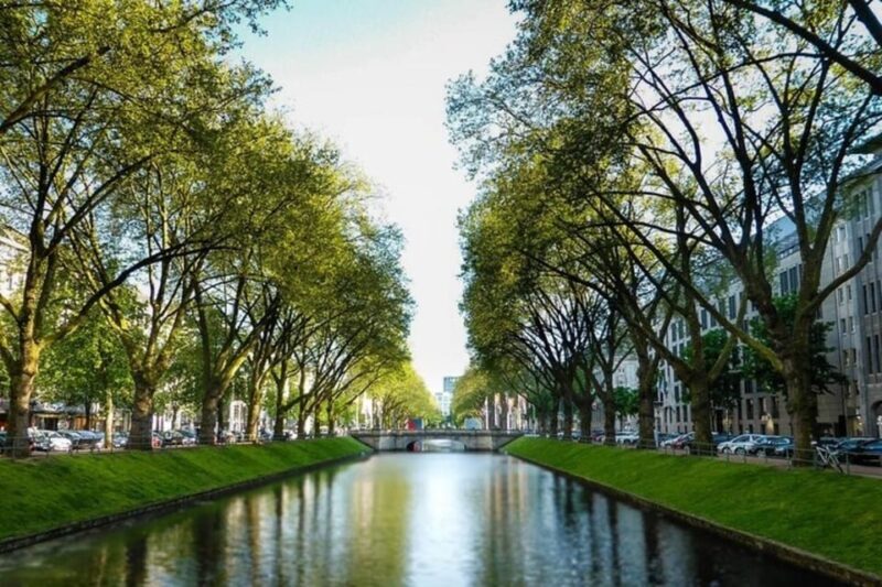 Dusseldorf : Highlights Walking tour with A Guide - Who Will Love This Tour?