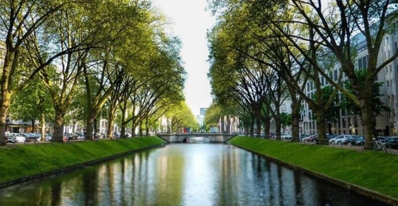 Dusseldorf : Highlights Walking tour with A Guide - Final Thoughts