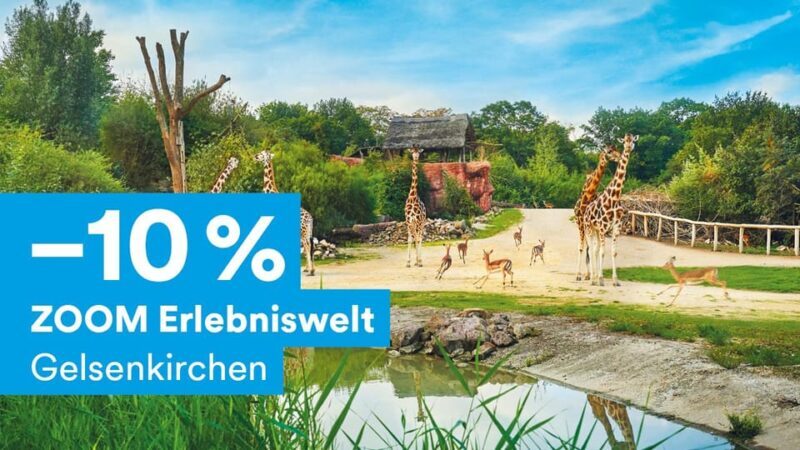 DüsseldorfCard Plus - Who Should Consider the DüsseldorfCard Plus?