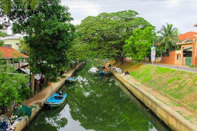Dutch Canal Boat Tour from Negombo - What to Expect During the Tour