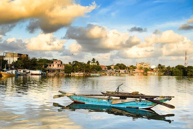 Dutch Canal Boat Tour from Negombo - Wildlife and Birdlife: A Birdwatcher’s Dream