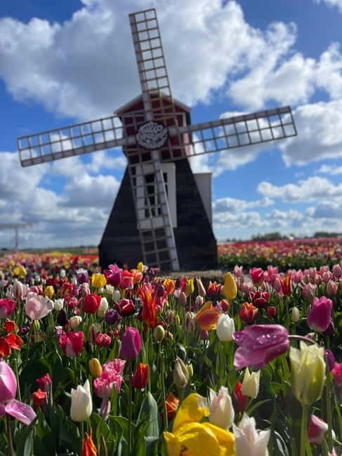 Dutch Countryside: , windmills, Villages, Cheese & Clogs - Key Points