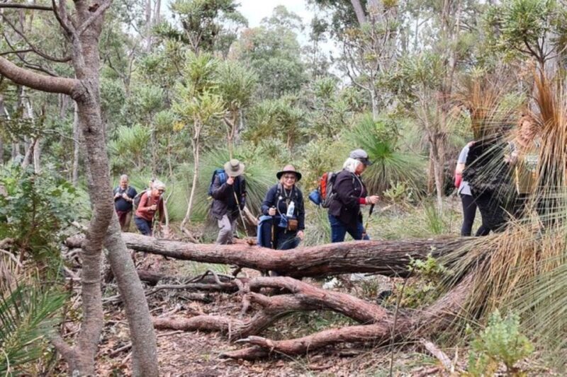 Dwellingup: Guided Hike and Scenic Train Ride with Lunch - Practical Details to Keep in Mind
