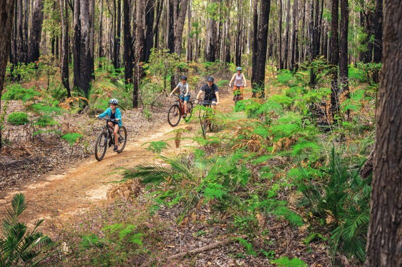 Dwellingup: Munda Biddi Explorer - Key Points