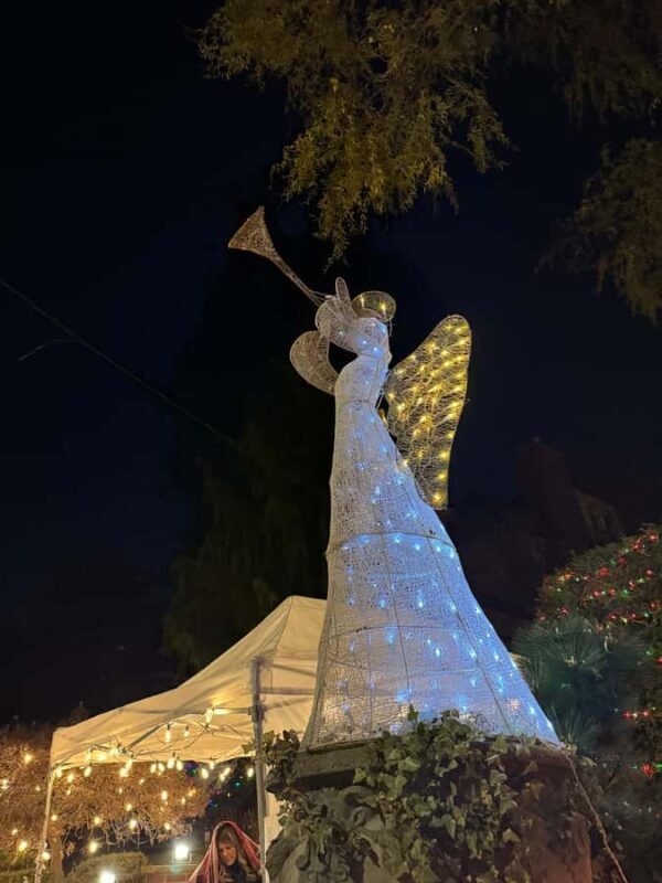 Dyker Heights Christmas Lights Bus Tour - An In-Depth Look at the Dyker Heights Christmas Lights Bus Tour