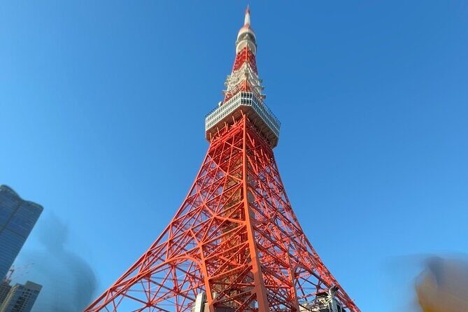 Dynamic Tokyo Private Custom Walking Tour - What Makes This Tour Stand Out?