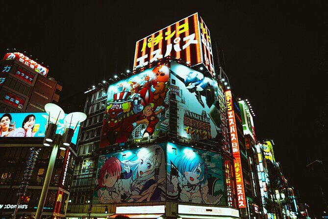 Dynamic Tokyo Private Custom Walking Tour - The Experience in Practice