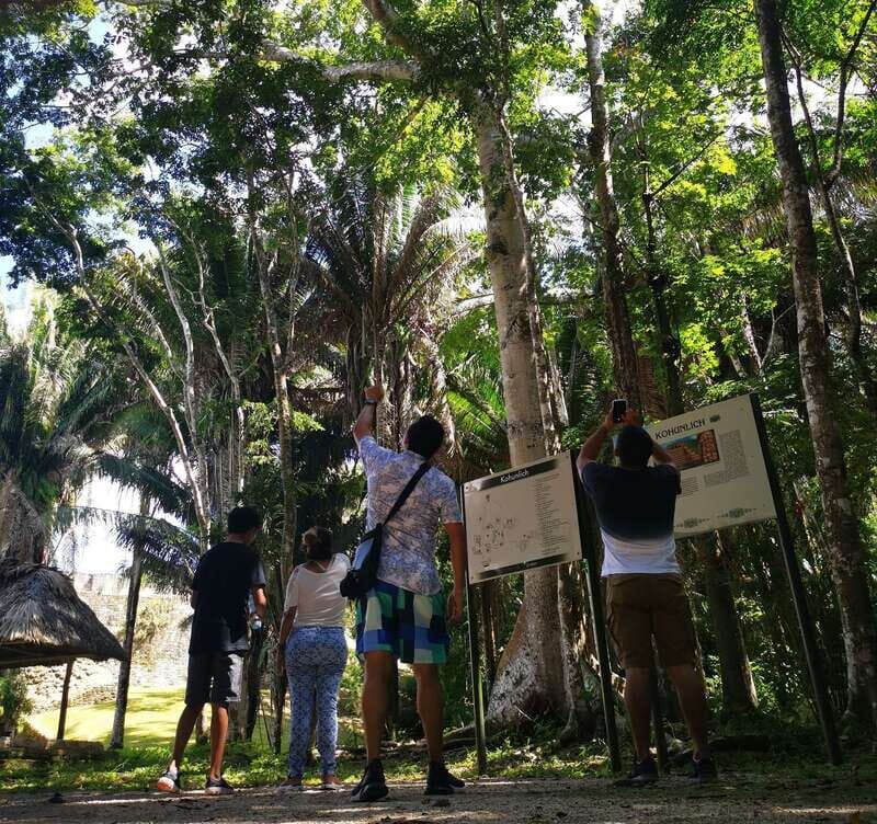 Dzibanche & Kohunlich Mayan Archeology Tour & 3 course Meal - The Value: Is It Worth It?