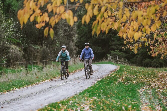 E Bike Adventure on The Laughing Moa Loop - Exploring the Laughing Moa Loop: What to Expect