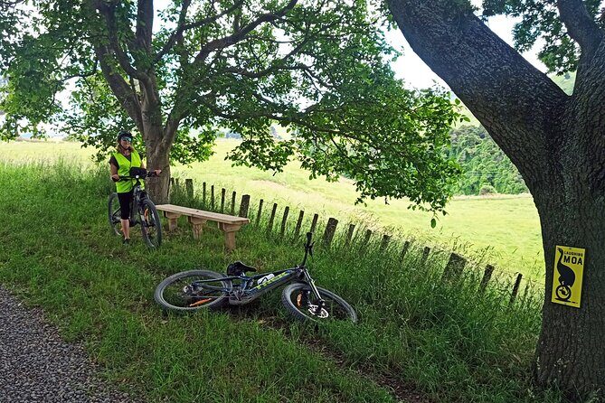 E Bike Adventure on The Laughing Moa Loop - Practical Tips for Participants