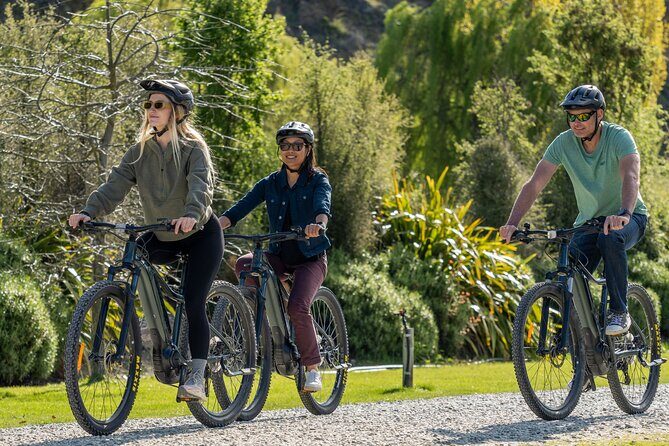 E-Bike Adventures Through the Wineries in Gibbston - The Experience from Feedback