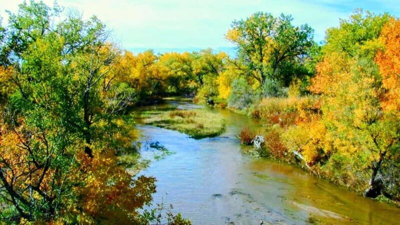 E-Bike & Brews: Denver's Platte River & Brewery E-Bike Tour - Authentic Experiences and Real Traveler Insights