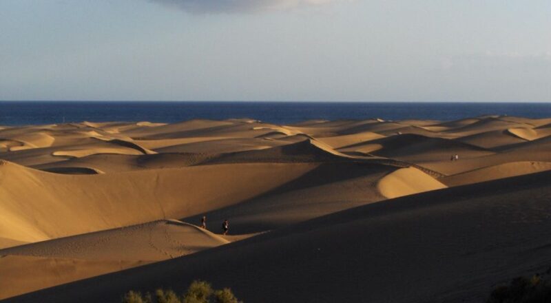 E-Bike City Tour with Camel Safari on Maspalomas Sand Dunes - Key Points