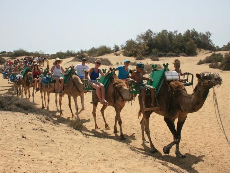 E-Bike City Tour with Camel Safari on Maspalomas Sand Dunes - FAQ