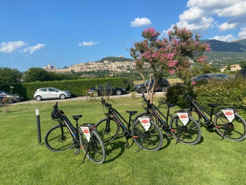 E-bike Citybike Rental - full day - FAQs