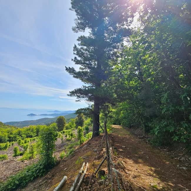 E bike Excursions and Lunch in Monte Capanne - Exploring Tuscany’s Elba Island on an E-Bike and Monte Capanne