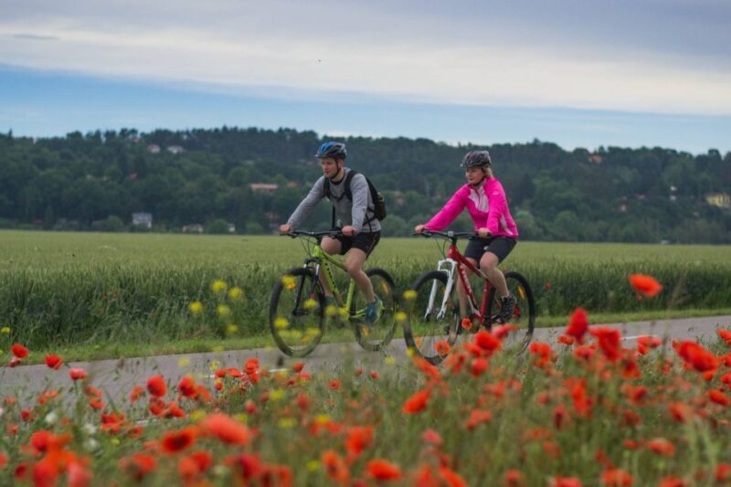 E-Bike Full-Day Trip From Prague:The Mighty Karlstejn Castle - Practical Details & Pricing Analysis