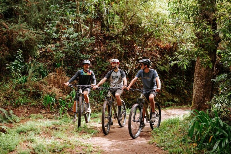 E-Bike Guided Tour - Mountain biking experience - A Close Look at the Itinerary and Experience