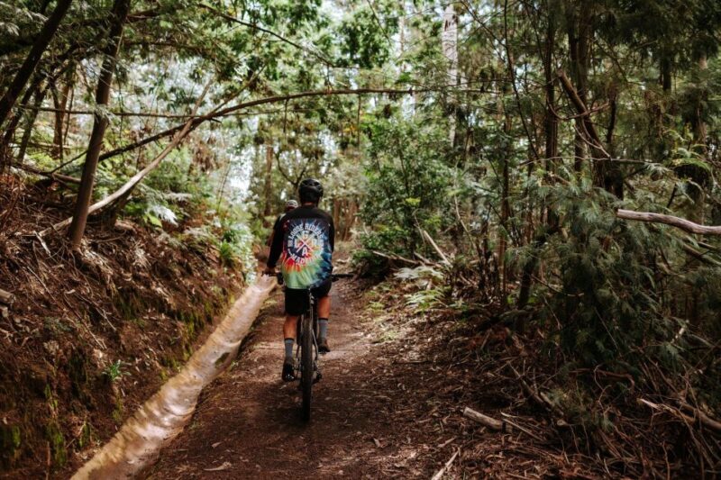 E-Bike Guided Tour - West Side Mountain Biking - The Group Experience and Language Options