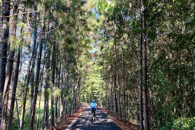 E Bike Hire - Northern Rivers Rail Trail - Self Guided Tour - Why This Tour Might Be Perfect for You