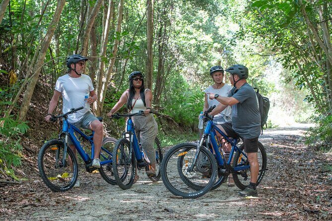 E-Bike Hire: Northern Rivers Rail Trail, Trail Side Hire - The Sum Up: Is It Worth It?