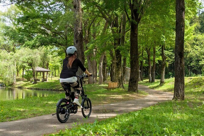 E Bike in Yuzawa Mountain Views Lake Daigenta and Rice Terraces - Who Should Consider This Tour?