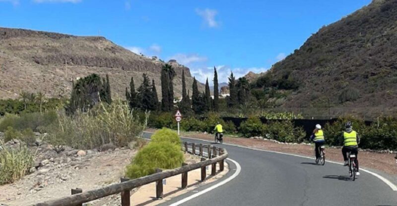 E-Bike Mountain Tour in Natural Park +Option Tapas in a Cave - What Makes This Tour Stand Out