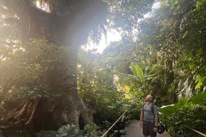 E-Bike Nature Tour in Shuri - Key Points