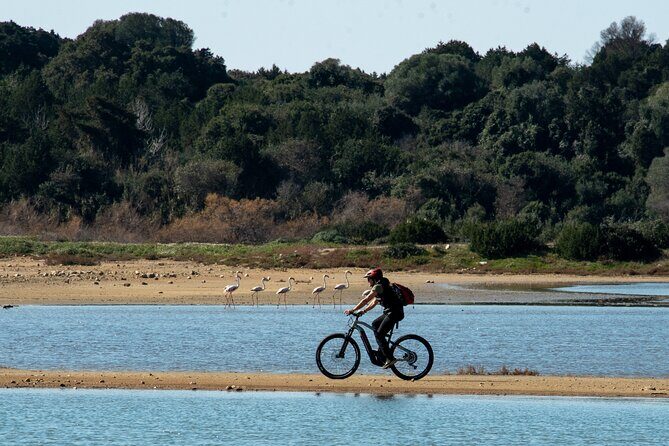 E-Bike Navarino Trail - Final Thoughts