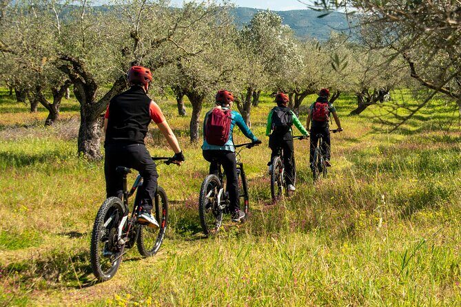 E-Bike Navarino Trail - FAQ