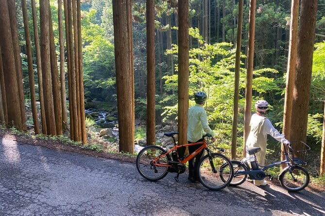 E-bike Rental in Okutama, Tokyo - An Overview of the Experience